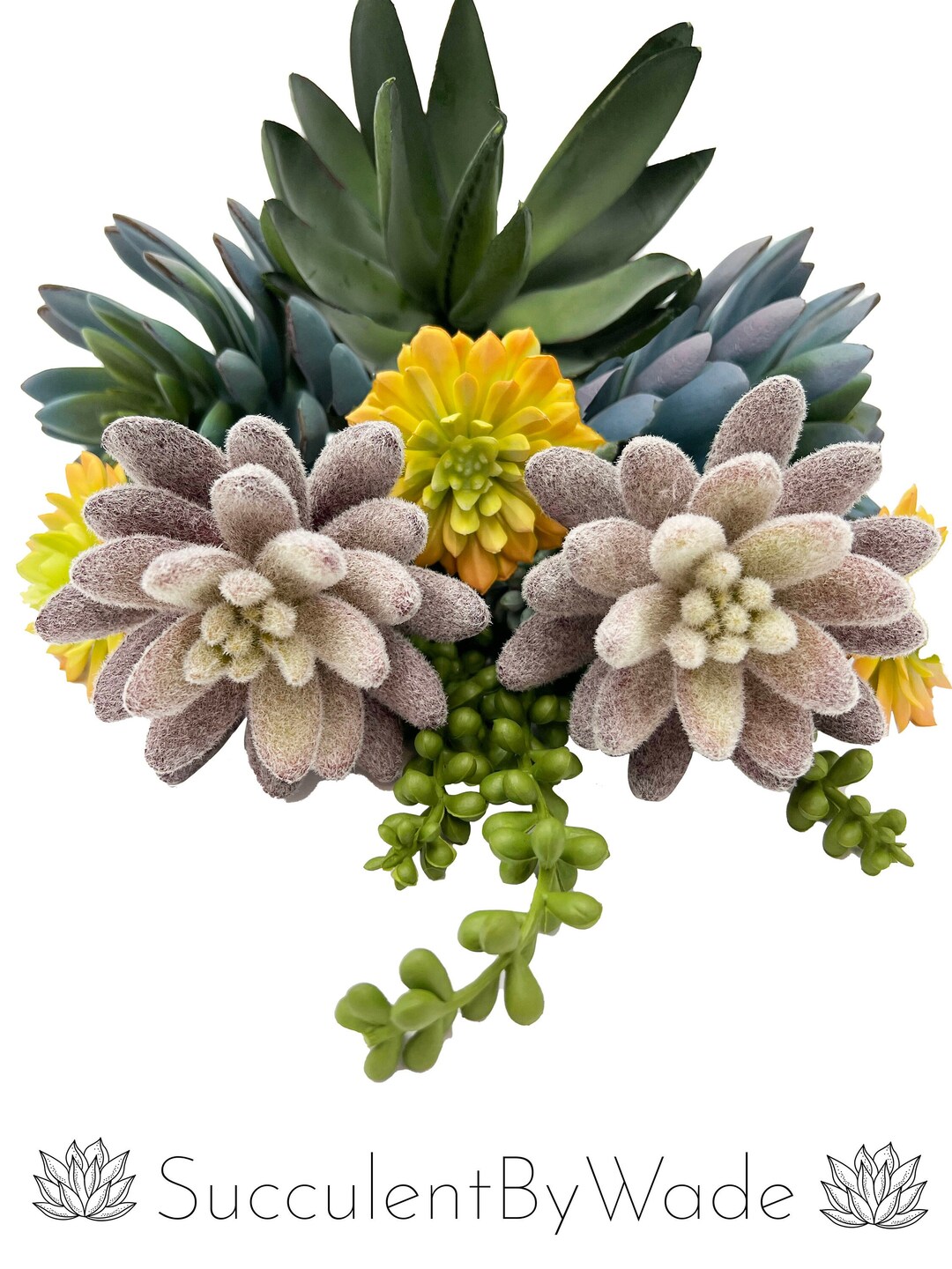 Faux Succulent Assortment of Picks - Echeveria - Set of 13 Picks (for a ...