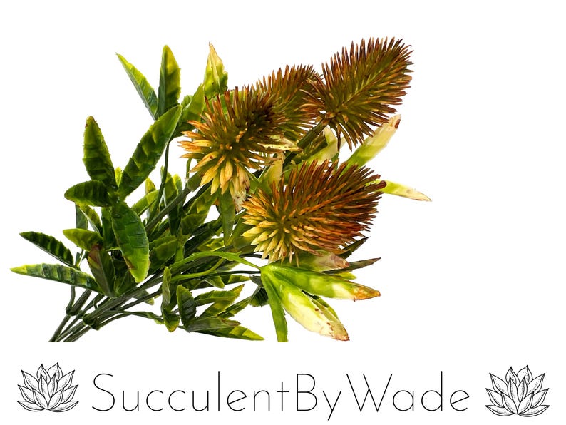 Faux Thistle Pick - Etsy