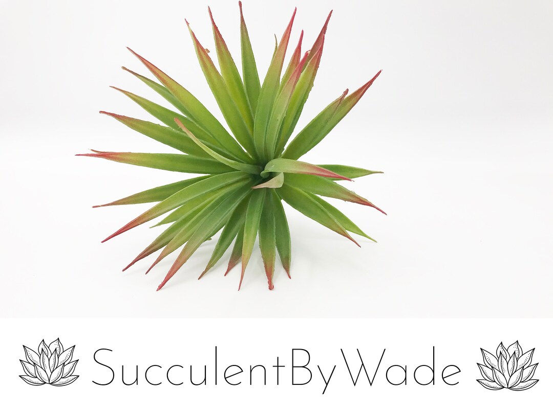 Faux Yucca Pick - Etsy