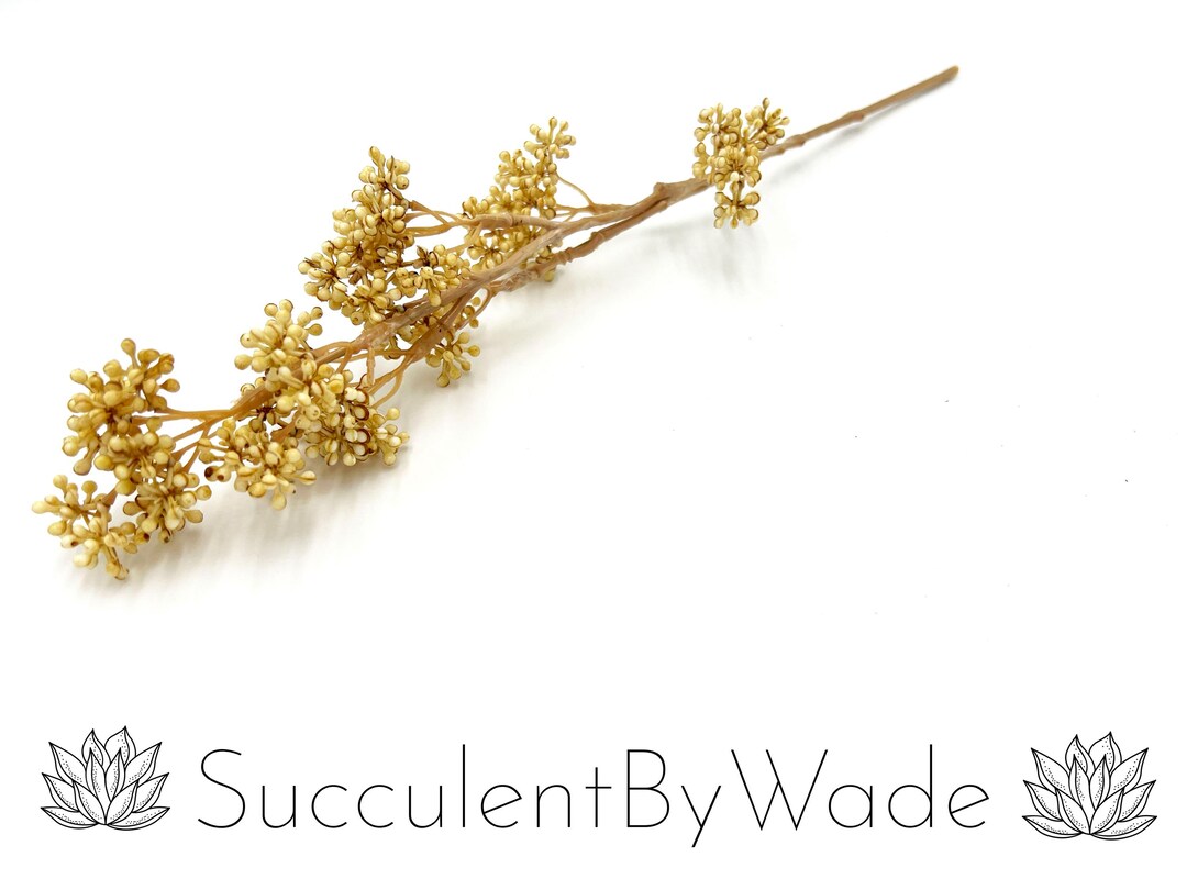Faux Succulent Pick - Sedum - Etsy
