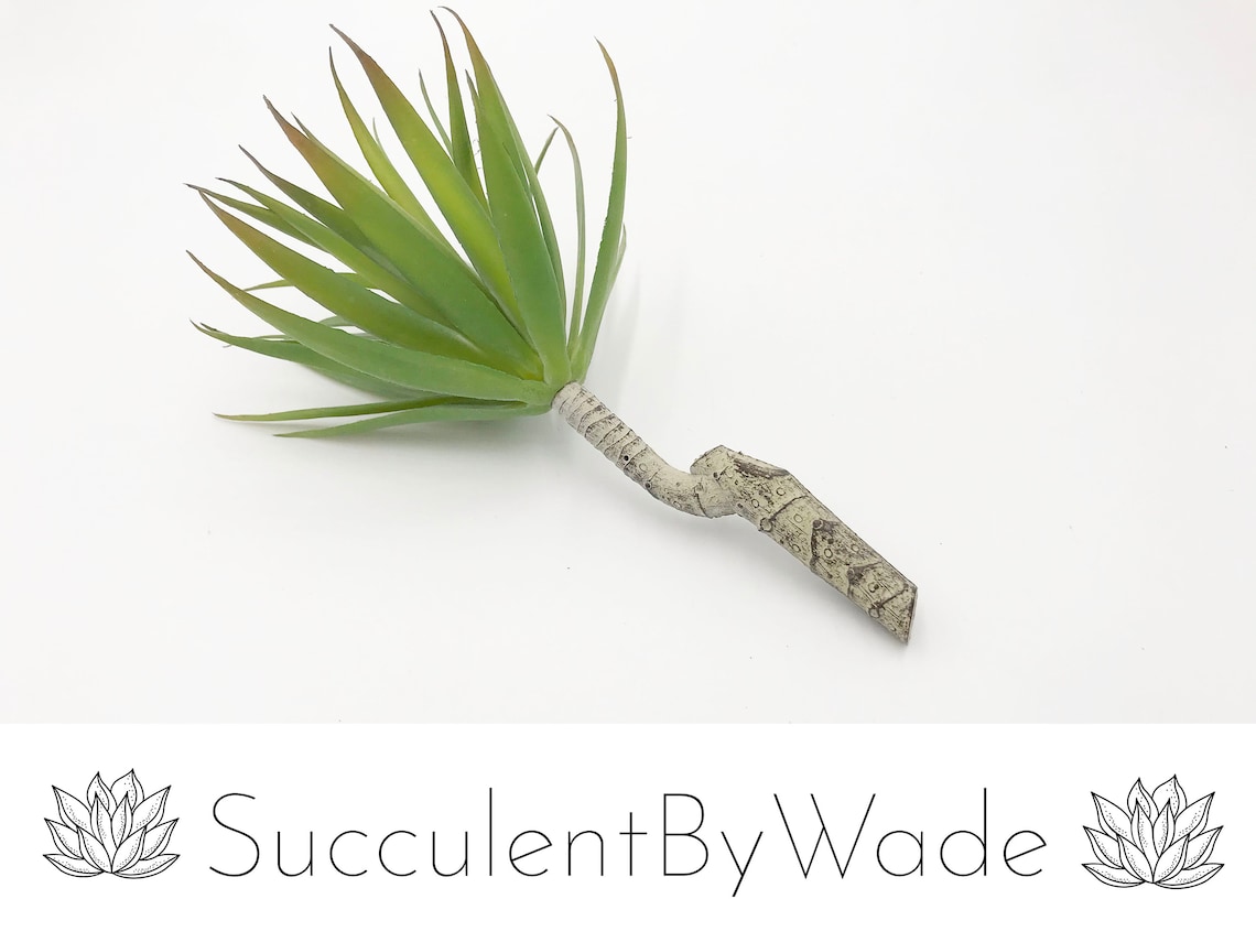Faux Yucca Pick - Etsy