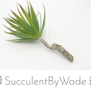 Faux Yucca Pick - Etsy
