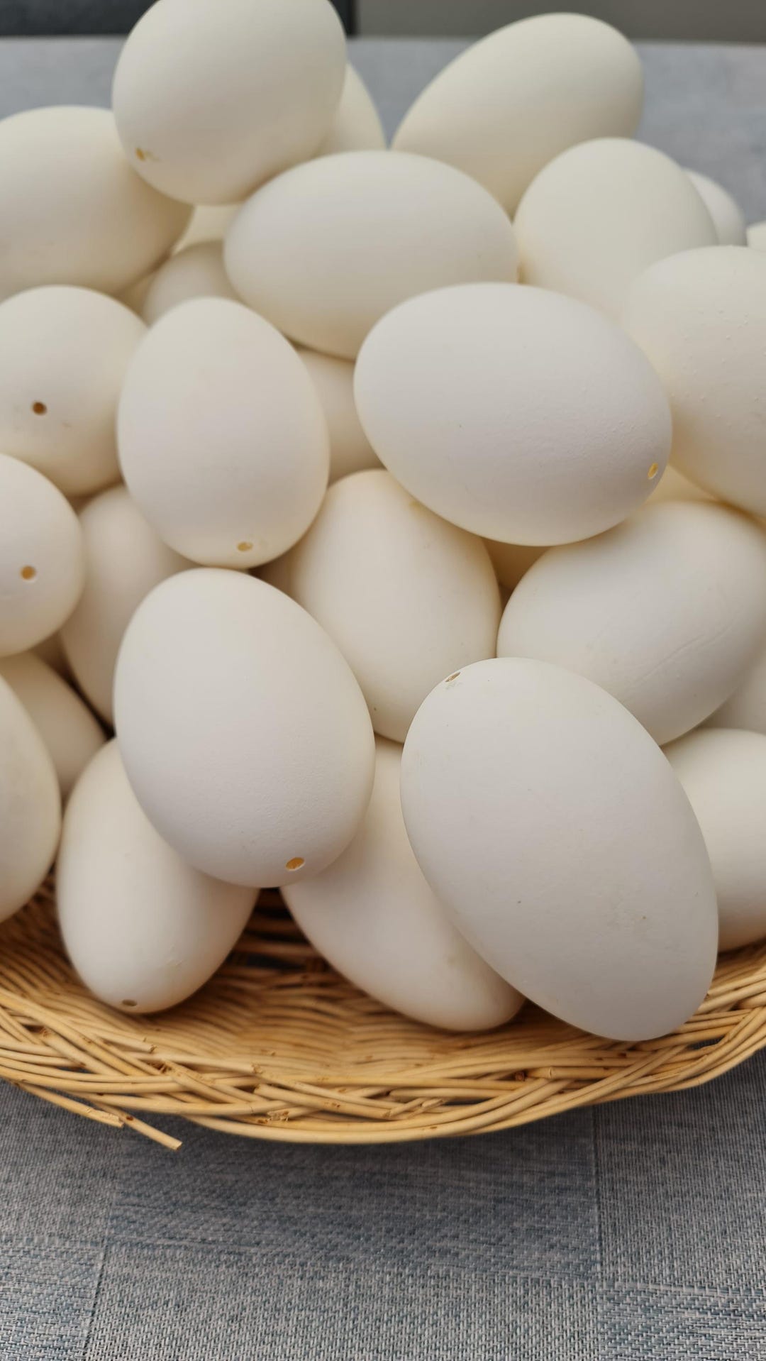 Hollow Goose Eggshells: Pysanky Craft Supplies, Empty Eggs, Blown-out ...