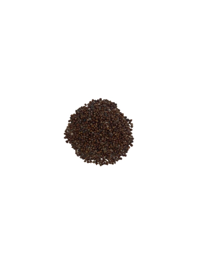 Grains of Paradise Guinea Pepper Hoodoo Magical Herbs for Drawing: Love ...