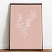 Plant Art Print Botanical Art Drawing Blush Pink Poster - Etsy