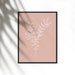 Plant Art Print Botanical Art Drawing Blush Pink Poster - Etsy
