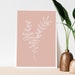 Plant Art Print Botanical Art Drawing Blush Pink Poster - Etsy