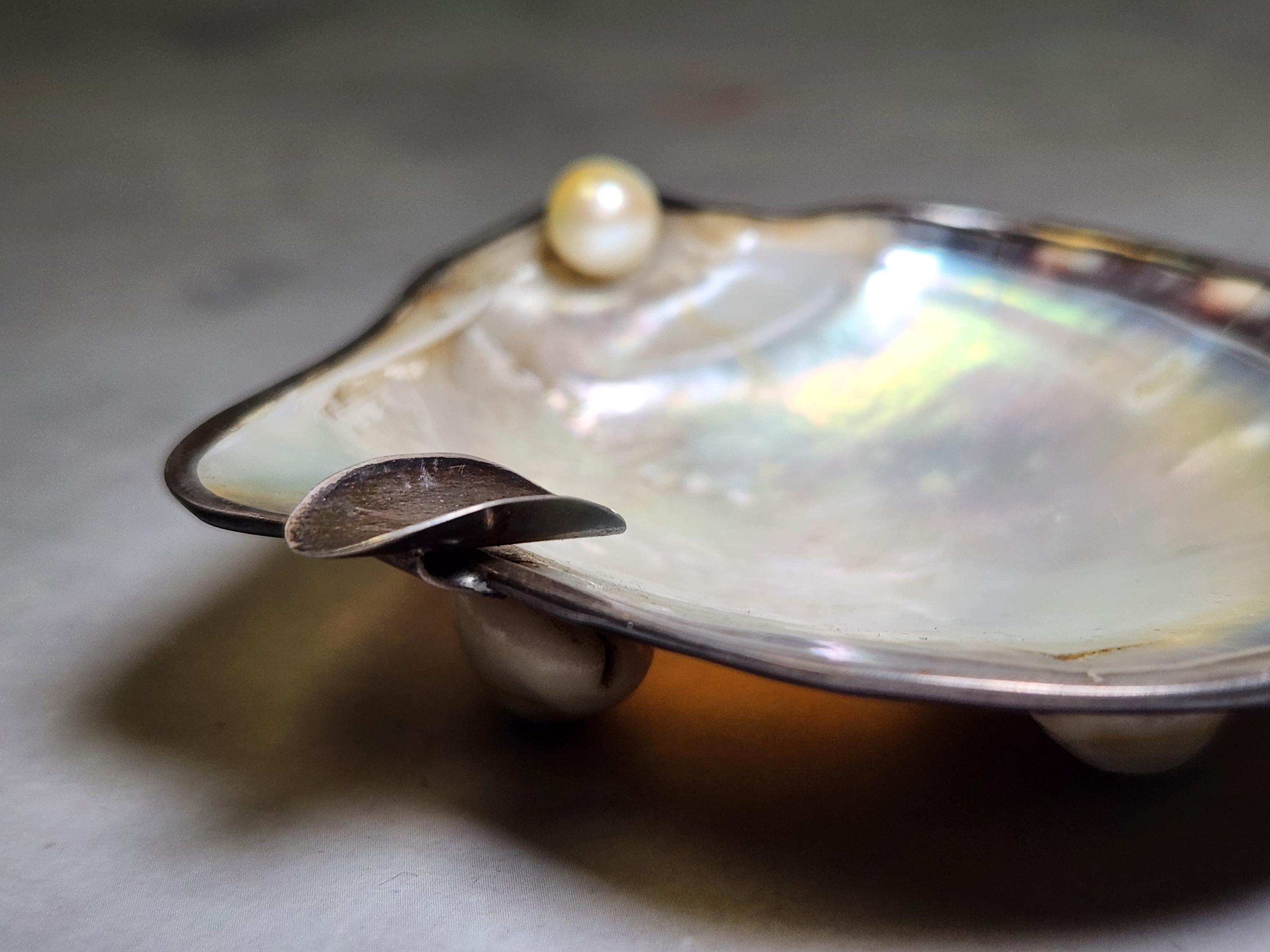 Japanese Mother-of-pearl Multipurpose Dish - Etsy
