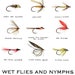 Wet Flies and Nymphs Print, Fishing Flies Print, Fly Fishing UK, Wall ...