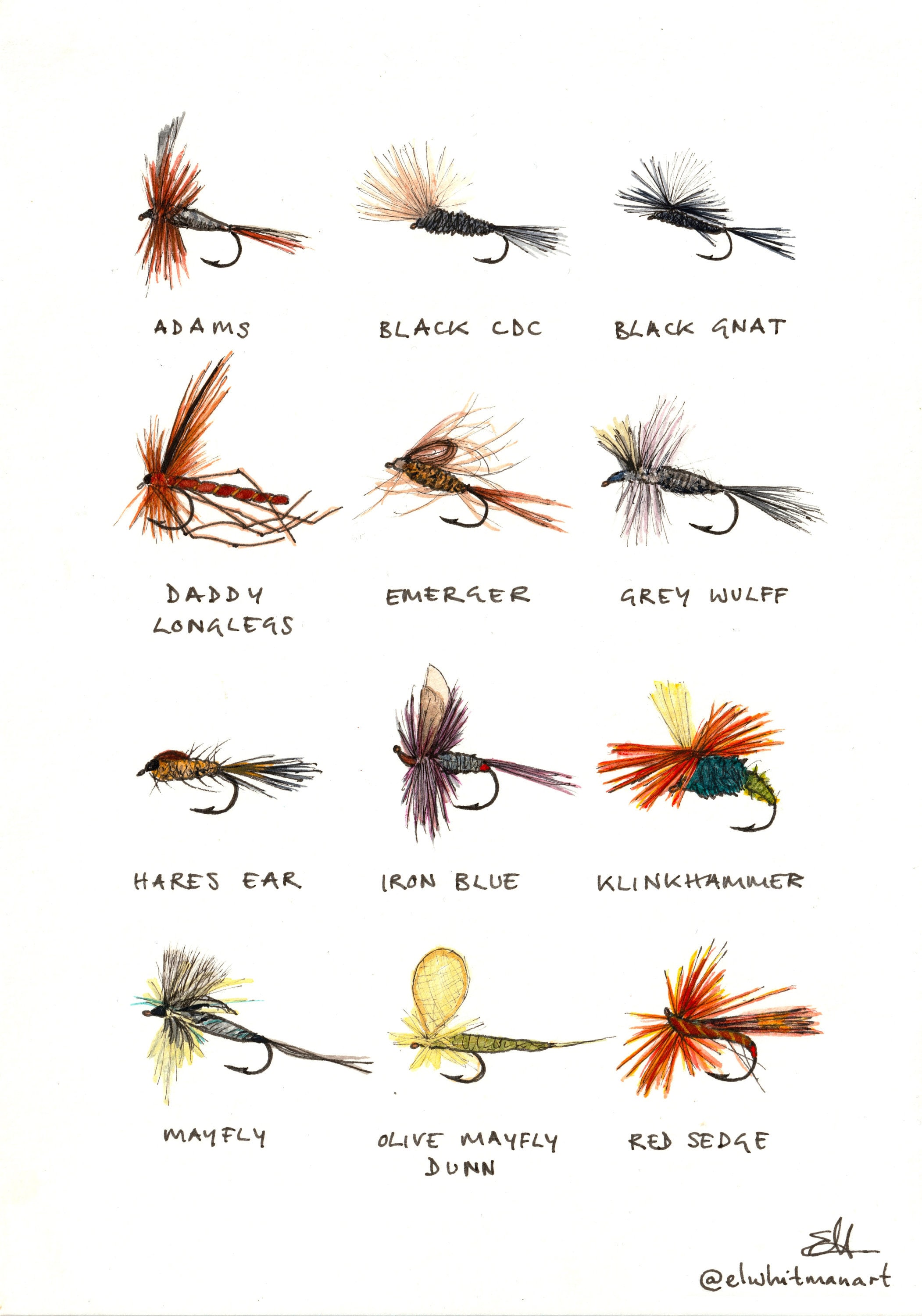 Fly Fishing Flies Art at Cynthia Davidson blog