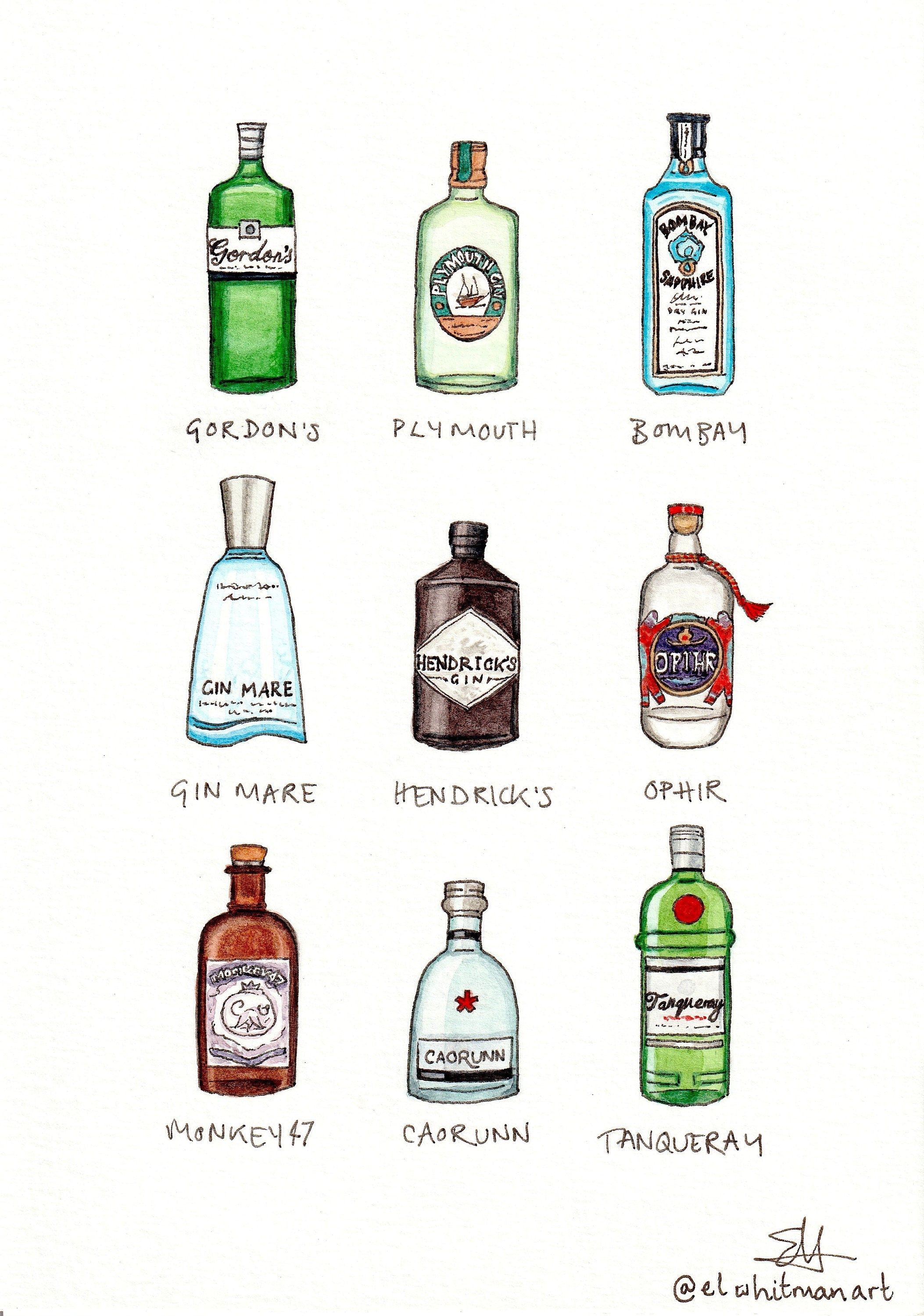 Gin Bottles Watercolour Print, Wall Art, Painting, El Whitman Art - Etsy