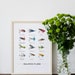 Salmon Fishing Flies Art Print: Watercolor Line Drawing (A3) - Etsy
