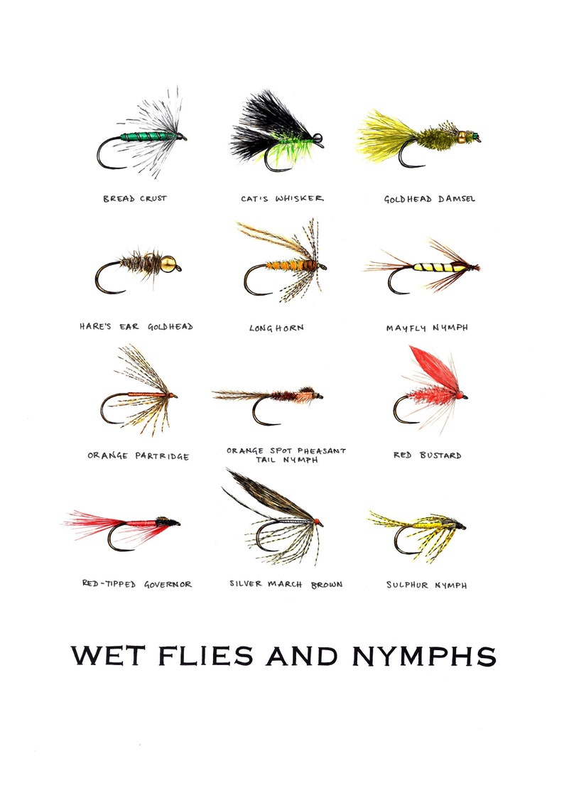 Wet Flies and Nymphs Print, Fishing Flies Print, Fly Fishing UK, Wall ...