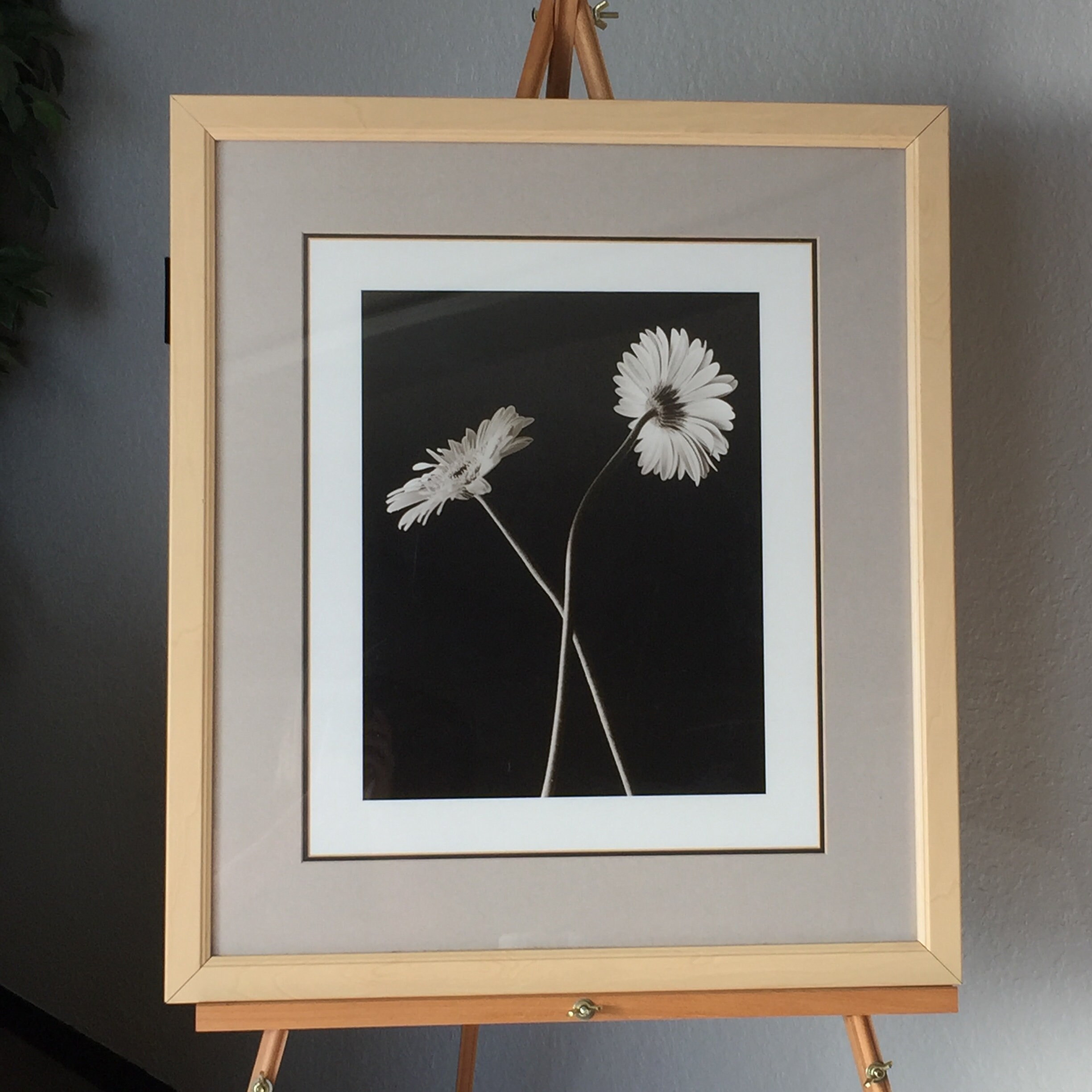 Sondra Wampler "floral Ii" Print (flower, Daisy, Classical, Simple) - Etsy