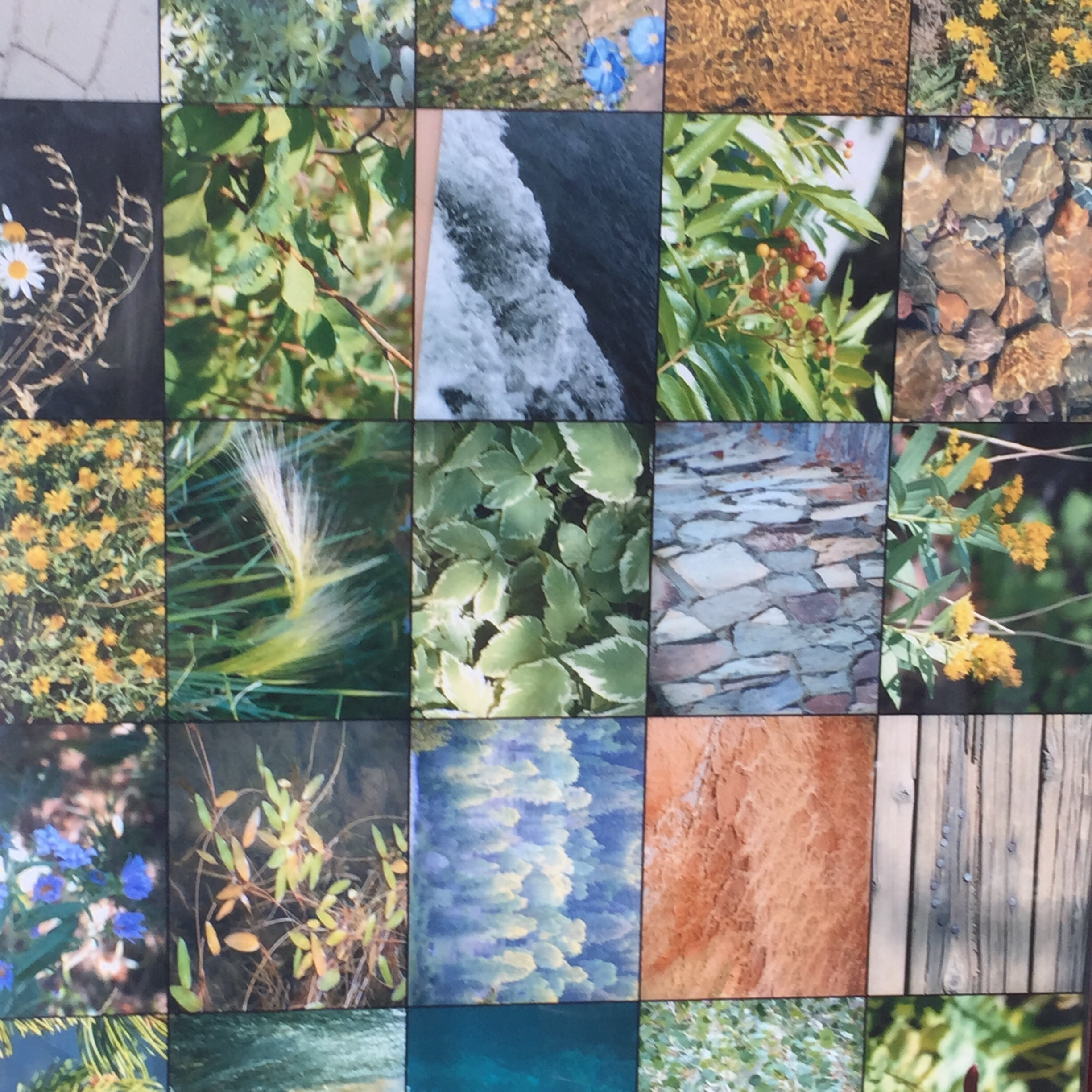25 Scenic Photo Collage (rock, Leaves, Beach, Ocean, Flowers, Eclectic ...