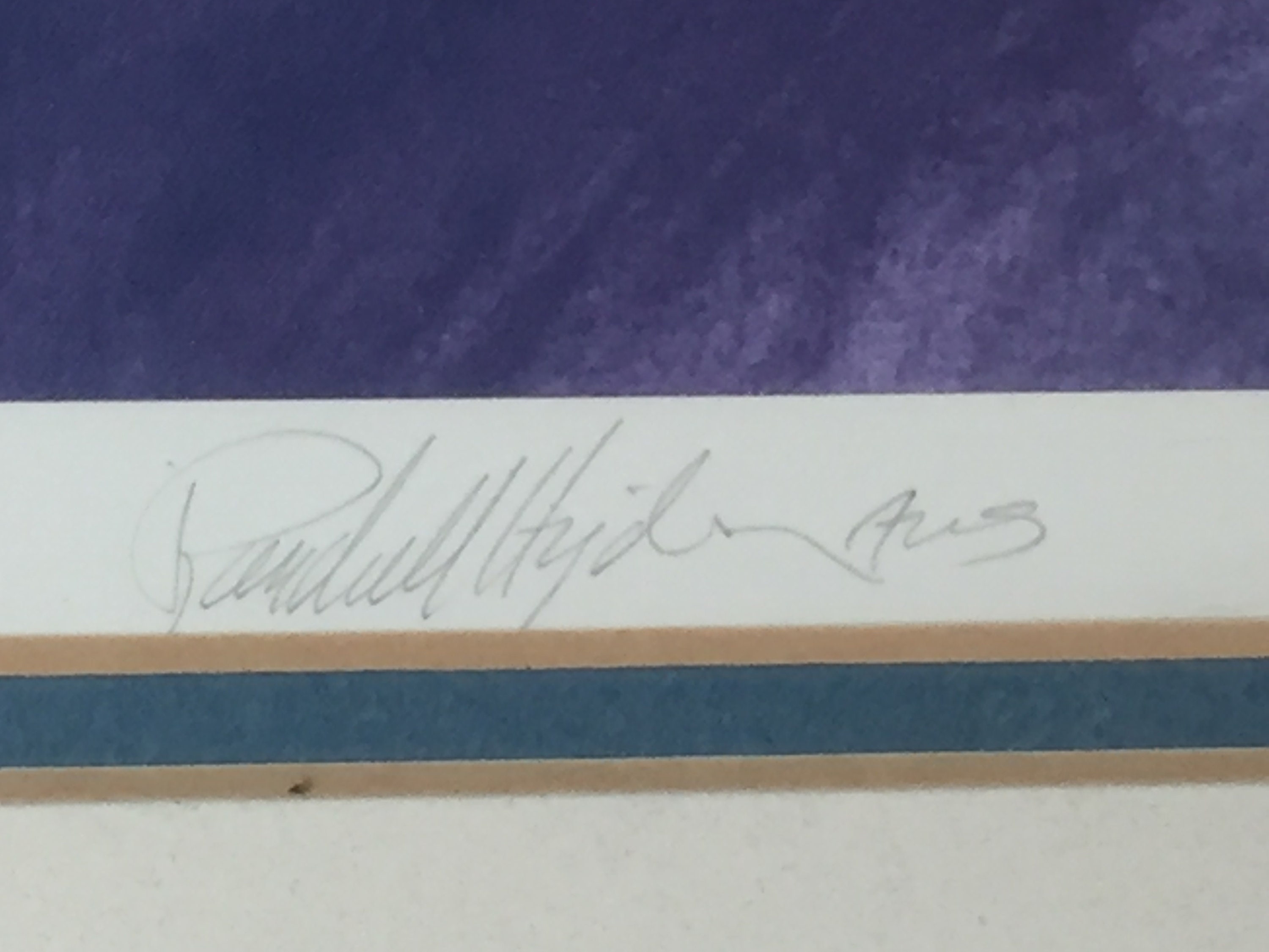 Randall Higdon Two Pillows Signed and Numbered Print 685/780 (flower ...