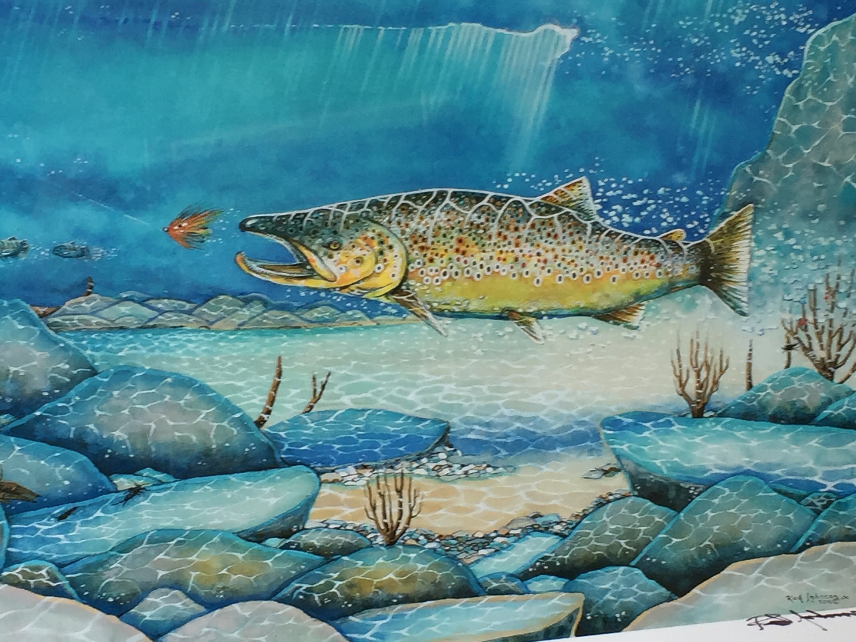 Rod Johnson Brown Trout print 127/1250 COA fish, riverbed or ocean ...