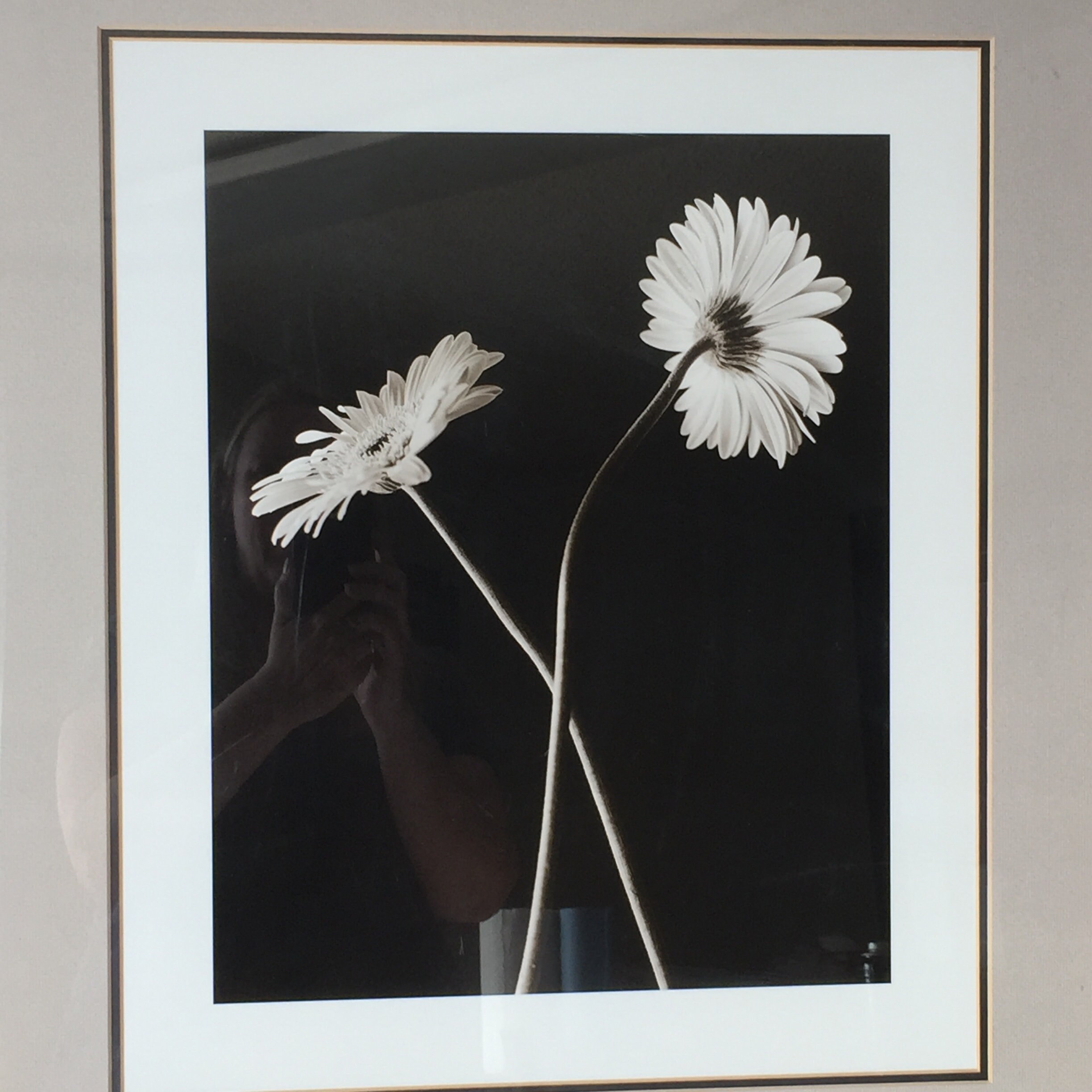 Sondra Wampler "floral Ii" Print (flower, Daisy, Classical, Simple) - Etsy