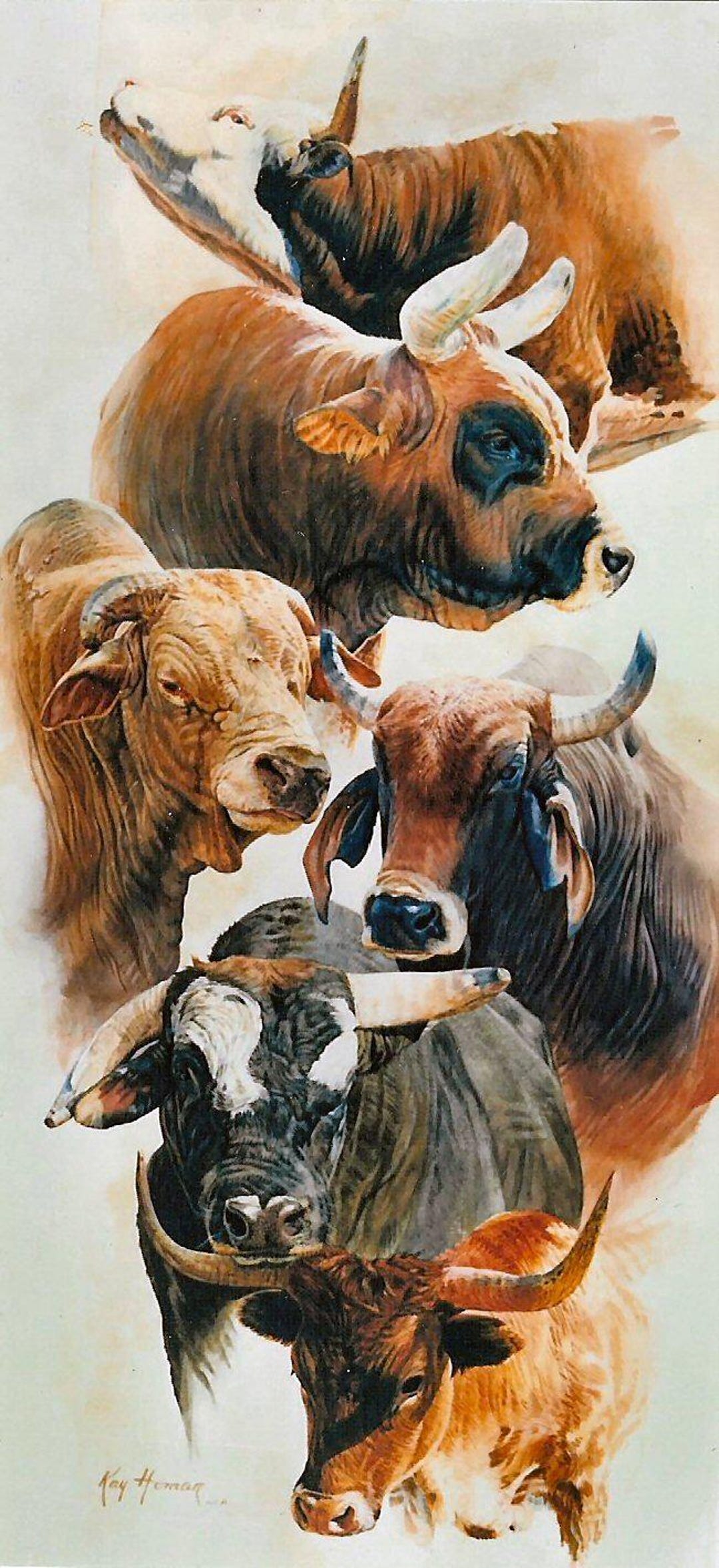Kay Homan "cow Boys" Limited Edition Prints, Bulls, Animals, Steers ...
