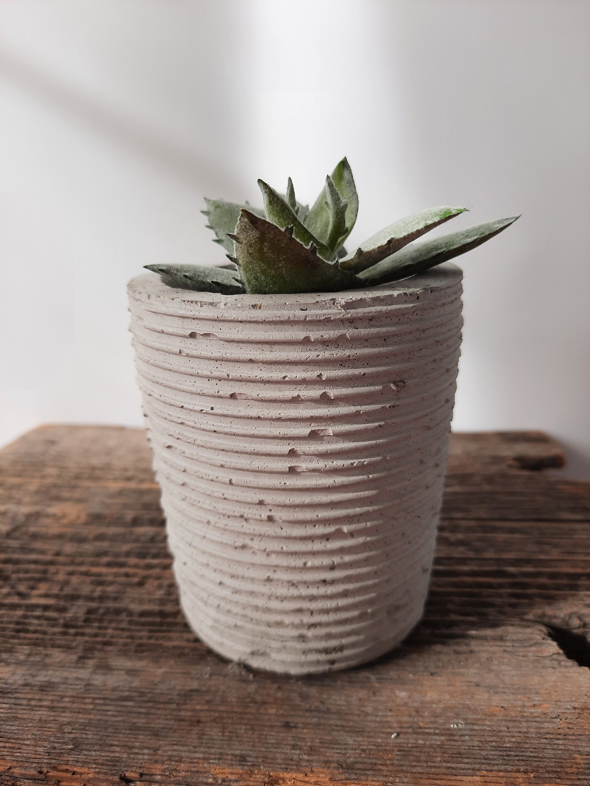 Concrete Planter With Horizontal Stripes. Unique Succulent & Cacti Pot ...