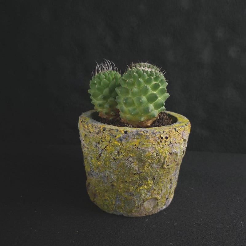 Geode Planter Pot - Etsy