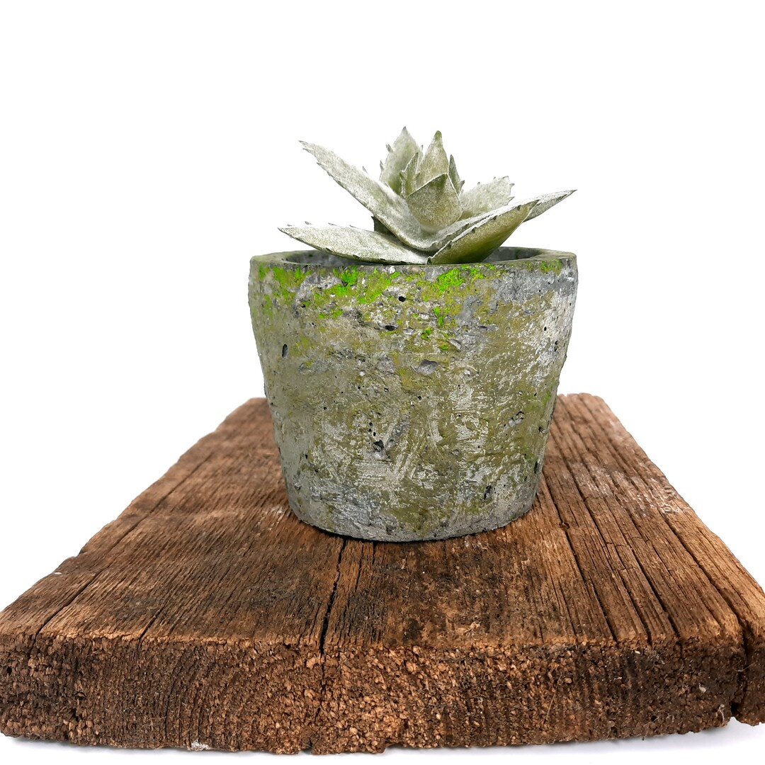 Concrete Planter.handcrafted Porous Texture Pot.mossy Green Pot. - Etsy