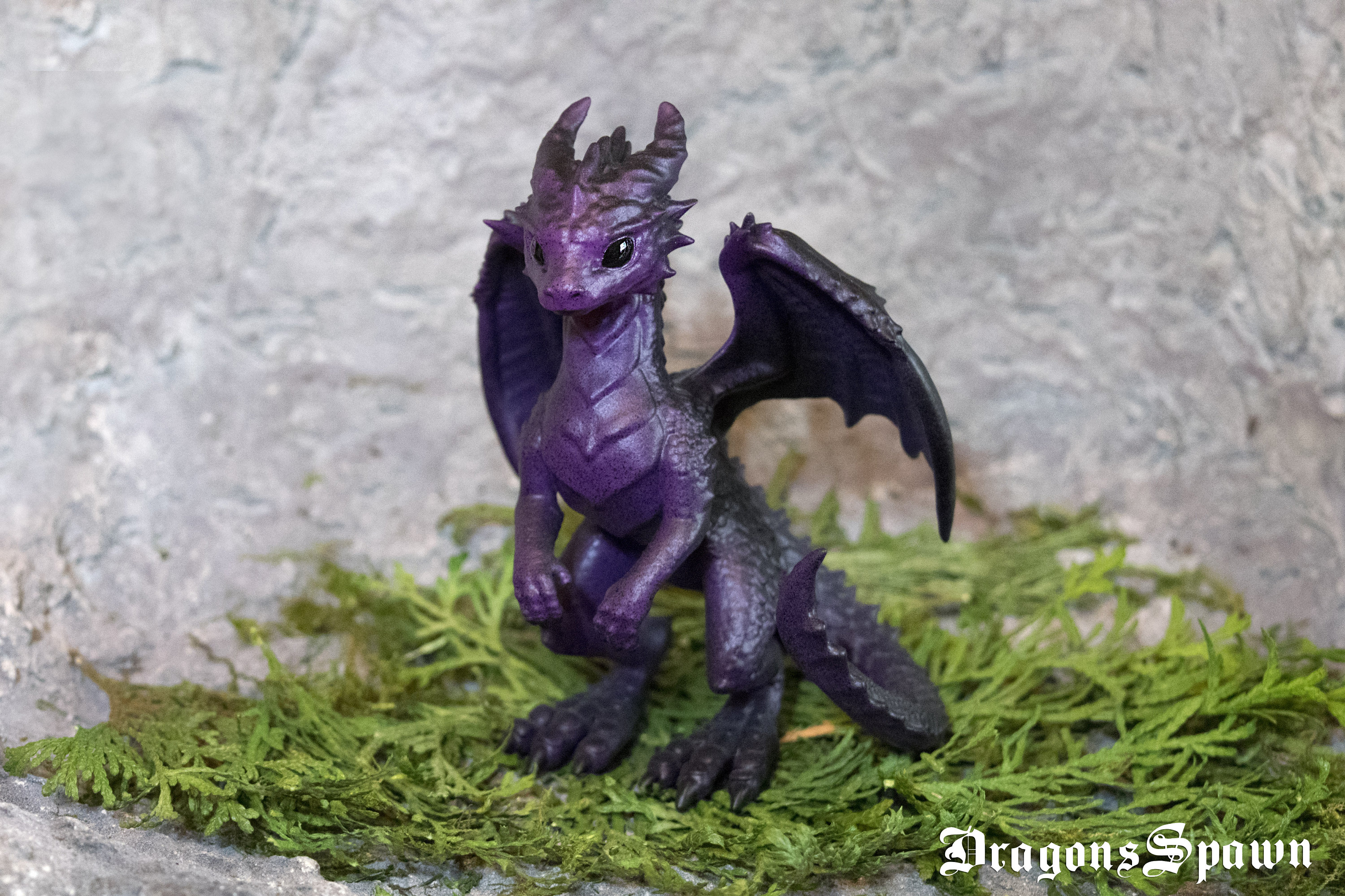 Black And Purple Dragons
