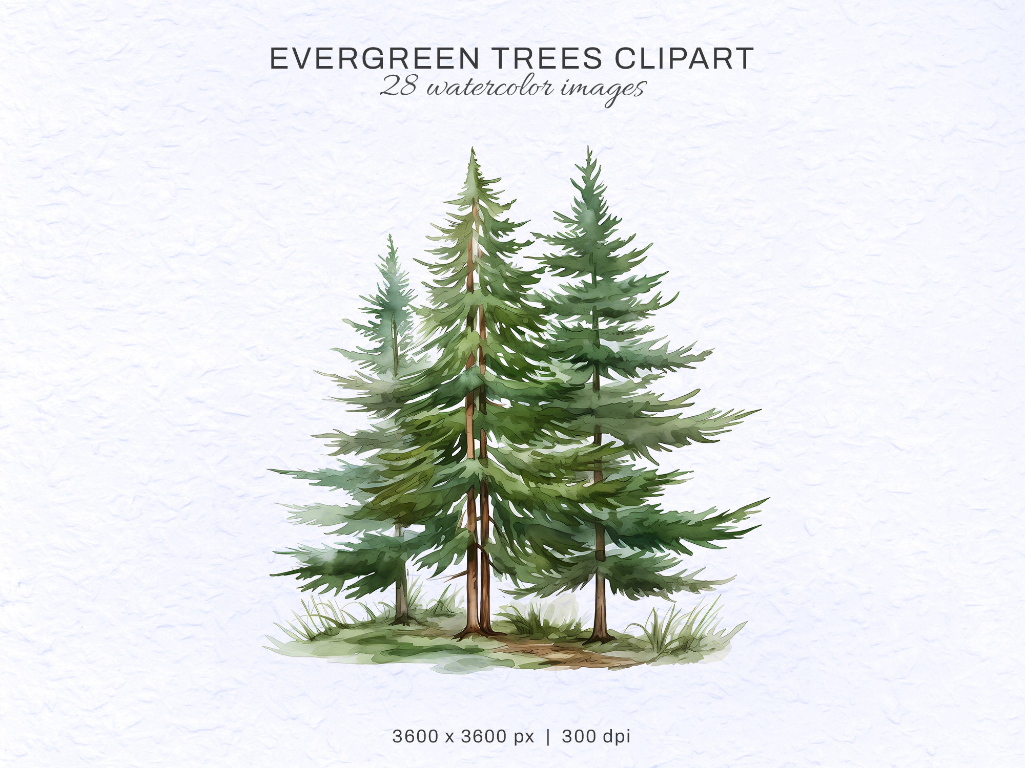 Evergreen Tree, Watercolor Clipart, Nursery Wall Art, AI Generated Art ...