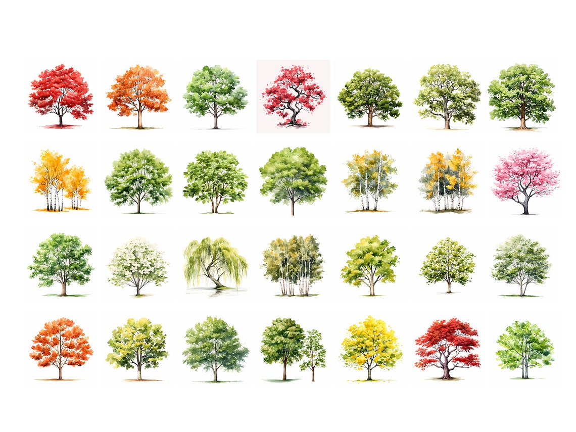 Deciduous Trees Png, Watercolor Clipart, Nursery Wall Art, AI Generated ...