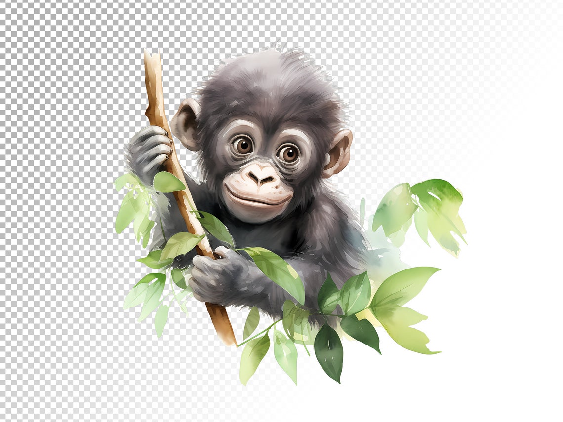 Jungle Nursery Watercolor Clipart, Nursery Wall Art, Safari Animal PNG ...