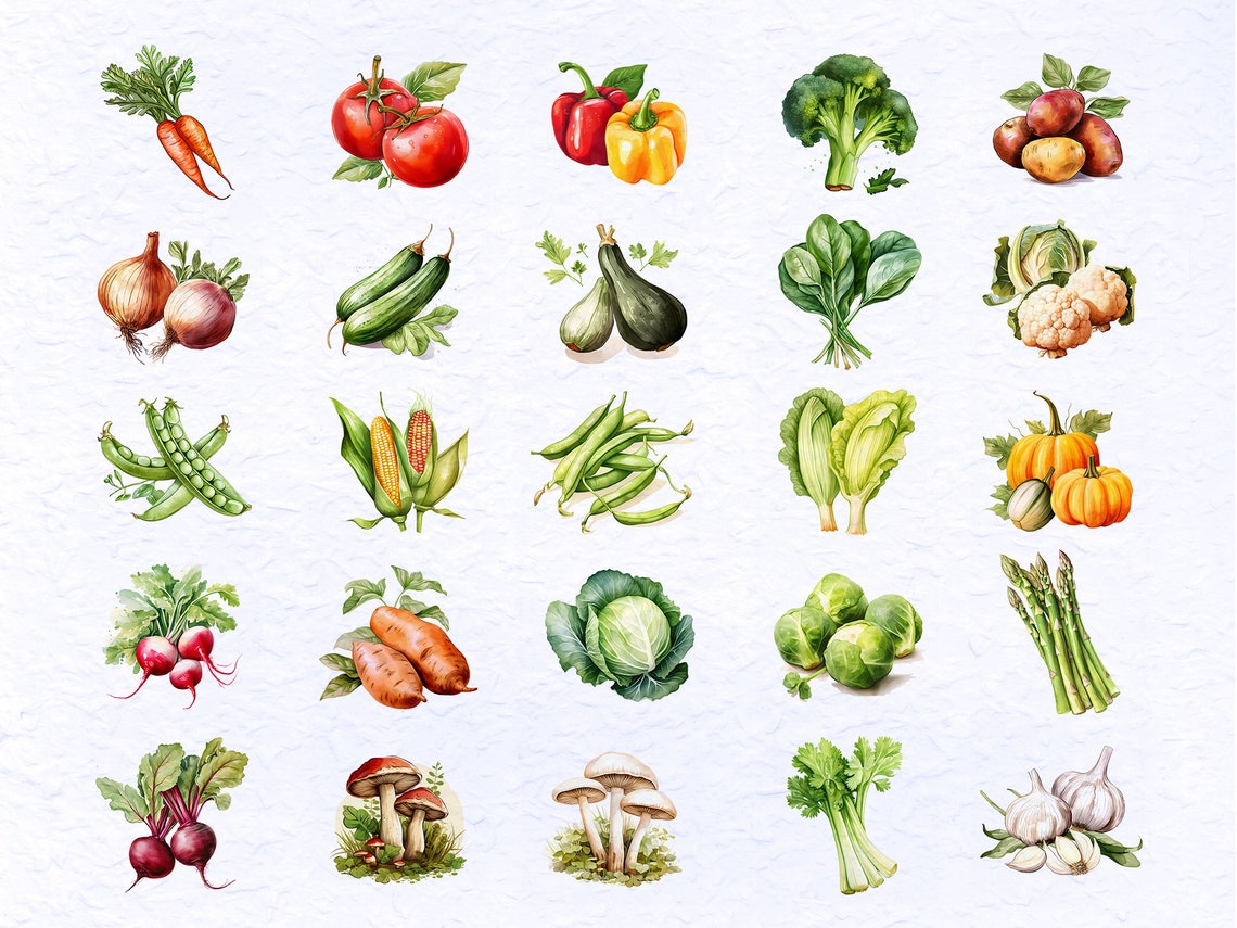 25 Vegetable Clipart Clipart Bundle Watercolor Clip Art - Etsy