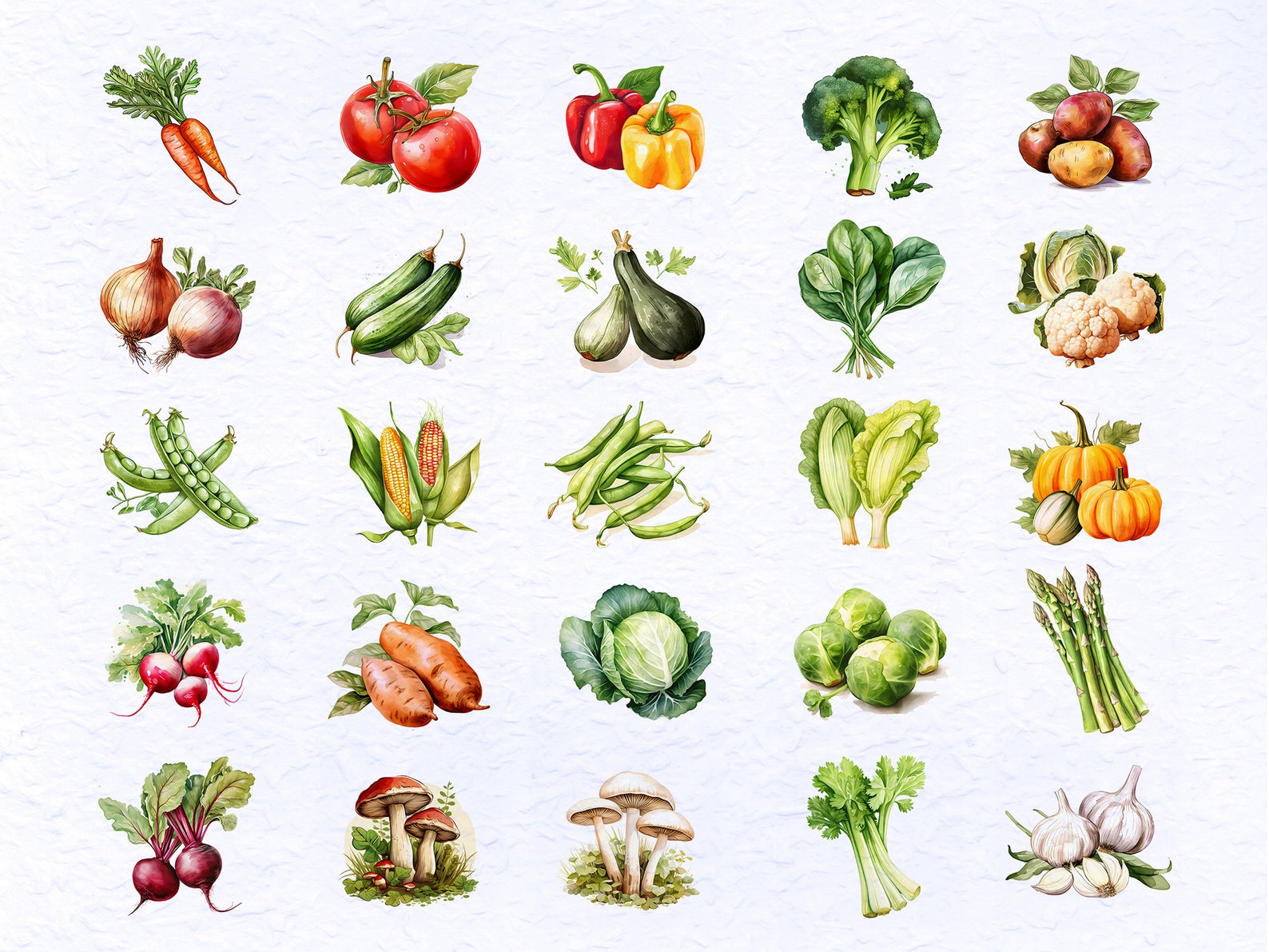 25 Vegetable Clipart Clipart Bundle Watercolor Clip Art - Etsy