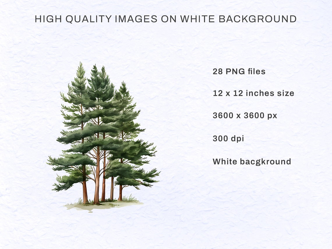 Evergreen Tree, Watercolor Clipart, Nursery Wall Art, AI Generated Art ...