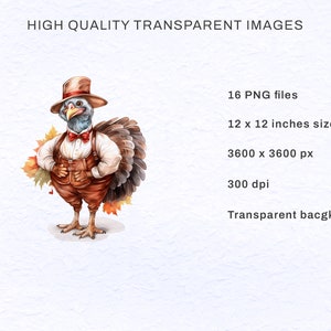 16 Thanksgiving Clipart With Transparent Background, AI Generated ...