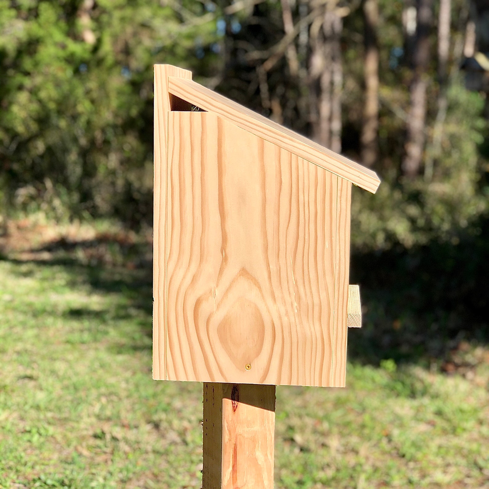 Squirrel Nesting Box Side Opening 21h X 10w X12l Etsy
