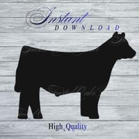 Show Steer Split Monogram Svg - Show Steer Silhouette - Show Steer Cut ...