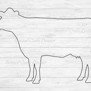 Dairy Heifer SVG: Show Cow Silhouette, 4H & FFA Design (digital ...