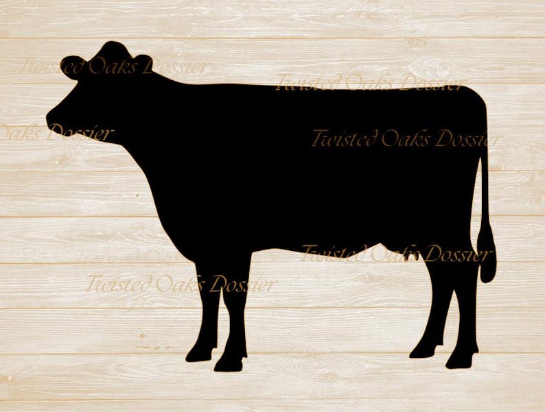 Dairy Heifer SVG: Show Cow Silhouette, 4H & FFA Design (digital ...