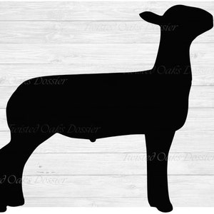 Show Lamb , Market Lamb 4H & FFA | NEW 2024 | Digital Downloads | Png ...
