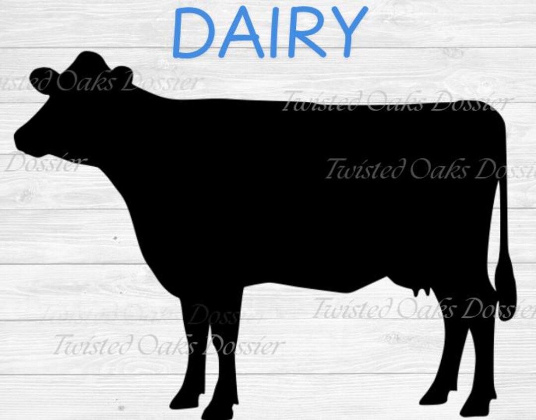 Dairy Heifer SVG: Show Cow Silhouette, 4H & FFA Design (digital ...