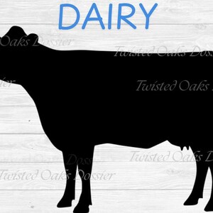 Dairy Heifer SVG: Show Cow Silhouette, 4H & FFA Design (digital ...