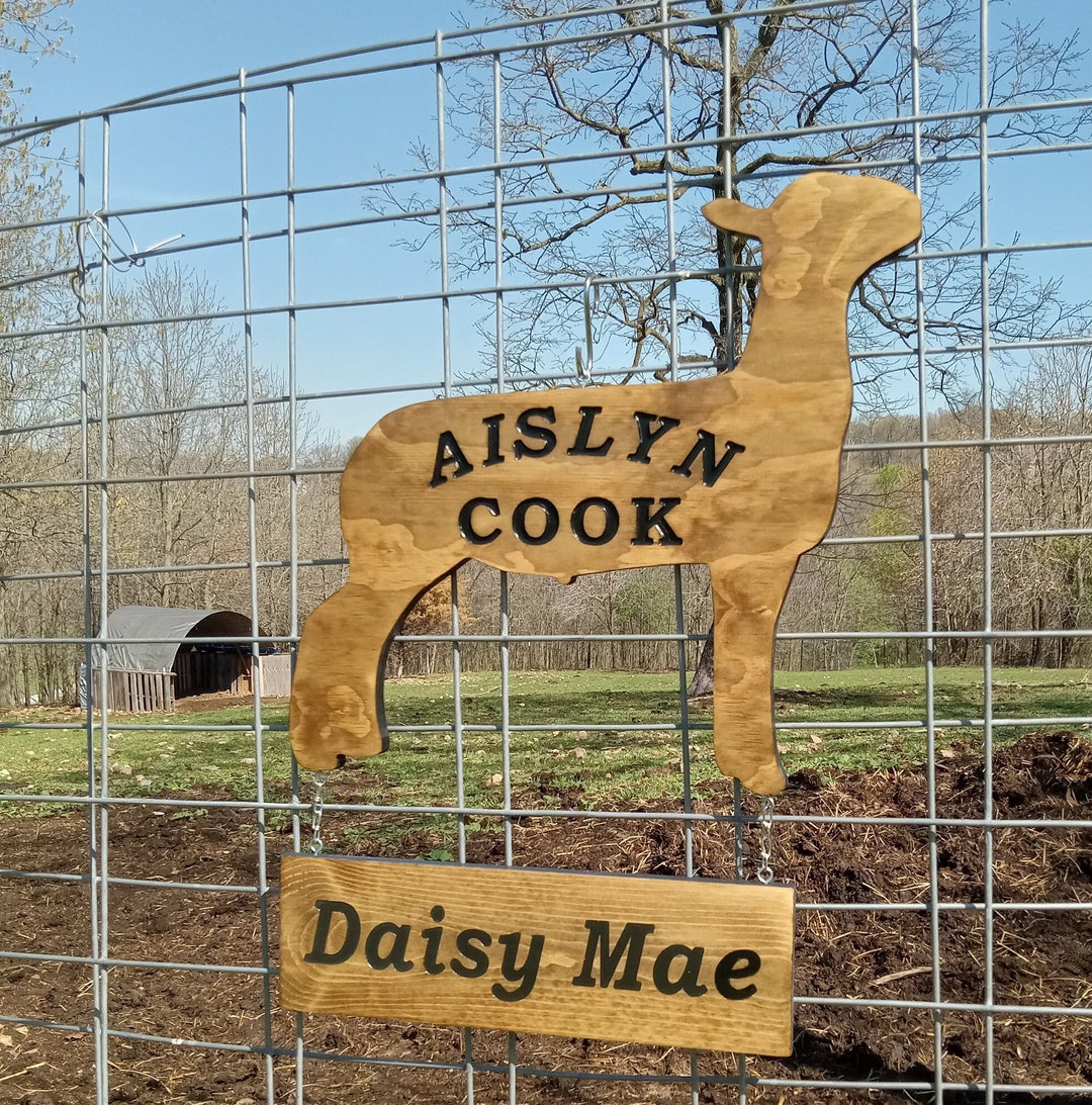 Show Lamb & Market Lamb Stall Pen Sign for the Farm 4H or FFA Shows or ...