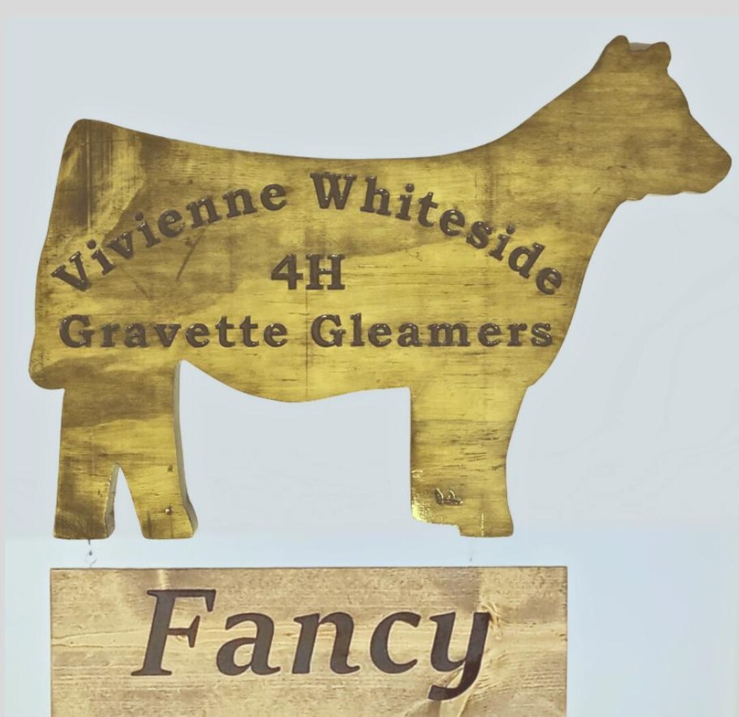 Steer & Heifer Stall Pen Sign for the Farm 4H or FFA Shows or Cattle ...