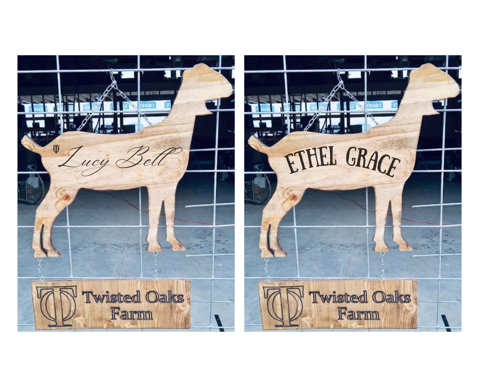 Goat Stall Sign for the Farm 4H or FFA Shows or Use as Goat Decor for ...