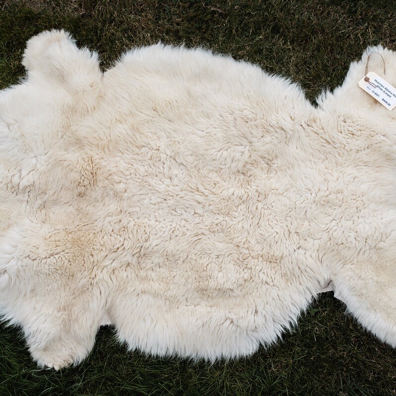 Huacaya Alpaca - Etsy