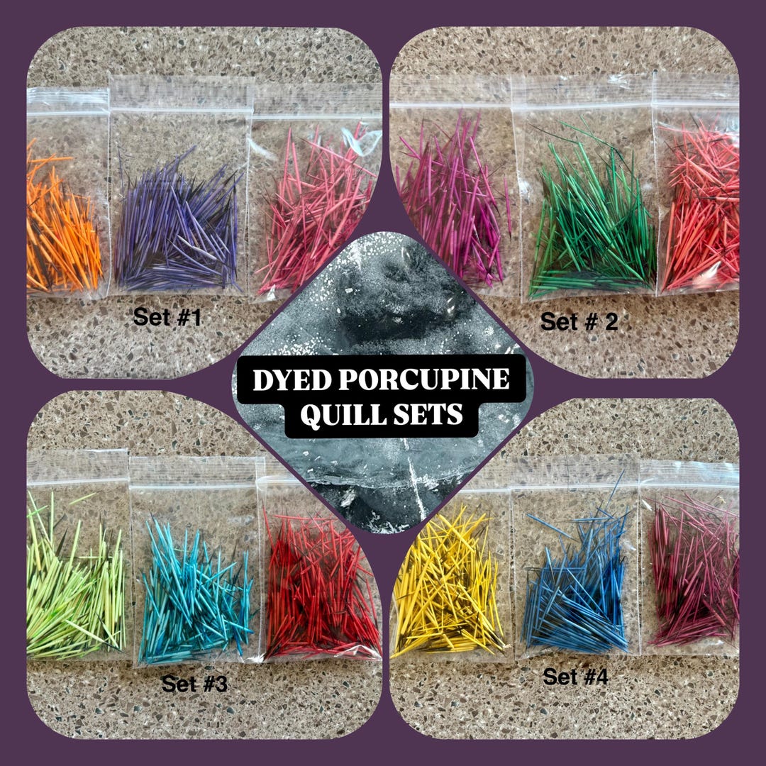 Dyed Porcupine Quill Sets INCLUDES TRACKING # - Etsy