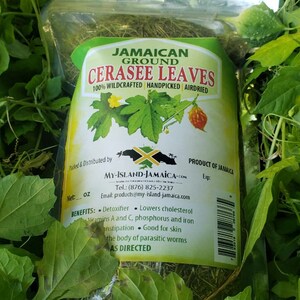 Jamaican CERASEE | 100% Wild Crafted, Hand Picked & Grounded | Bitter ...