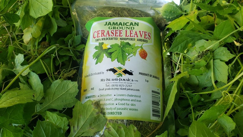 Jamaican CERASEE 100% Wild Crafted & Hand Picked Bitter - Etsy