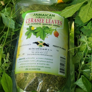 Jamaican CERASEE | 100% Wild Crafted, Hand Picked & Grounded | Bitter ...