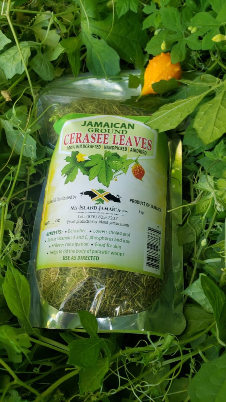 Jamaican CERASEE 100% Wild Crafted & Hand Picked Bitter - Etsy